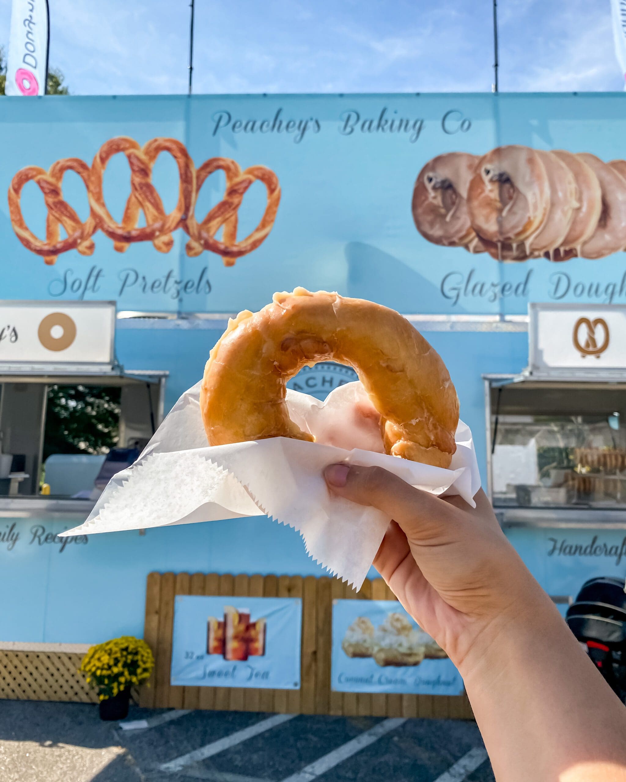 Top Picks for NC State Fair Food - NC Eat & Play