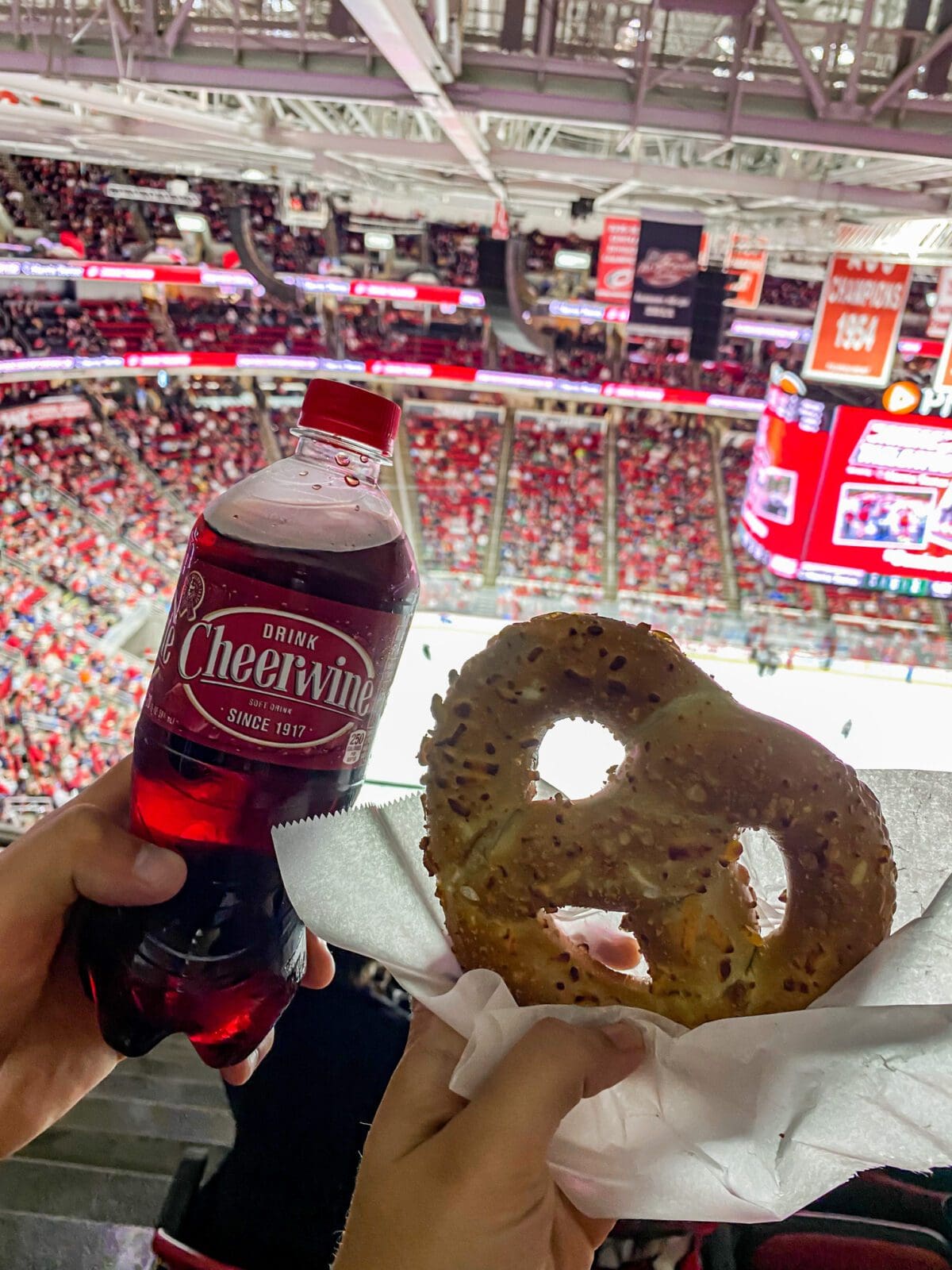 A Guide to Carolina Hurricanes Games - NC Eat & Play