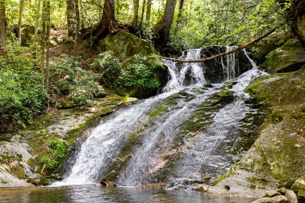 Thorps Creek Falls: An Easy To Reach WaterFall in NC - NC Eat & Play