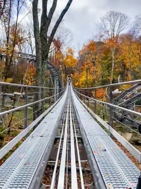 Wilderness Run Alpine Coaster: Ride Through the Mountains of North ...