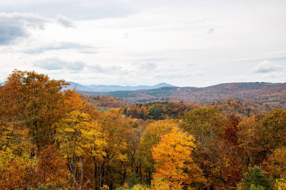 Fall in North Carolina | Bucket List of Best Things to Do - NC Eat & Play