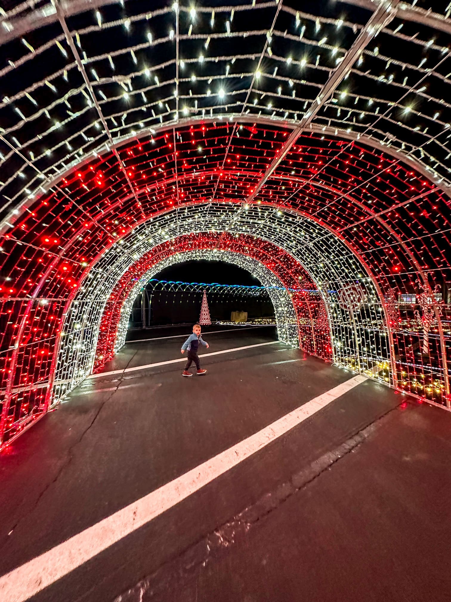 Speedway Christmas: The Southeast's Largest Holiday Drive-Thru Light ...